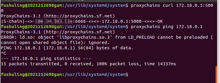 linux下实现系统级全局代理 – fushulingのblog